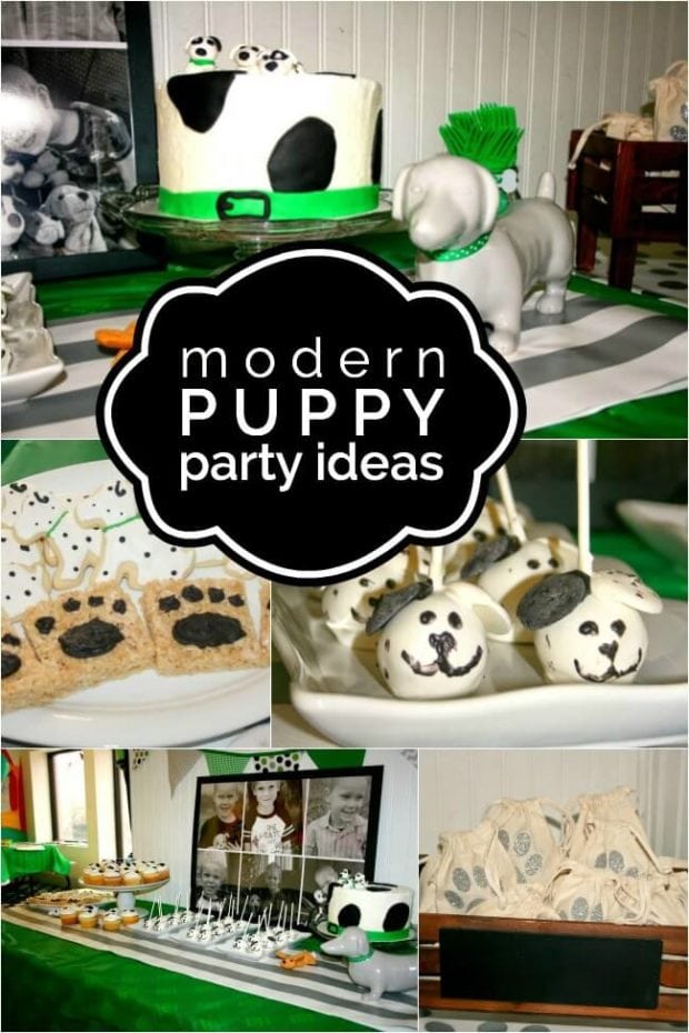 Boy s Modern Puppy Birthday Party Spaceships And Laser Beams Boy s Modern Puppy Birthday Party Spaceships And Laser Beams
