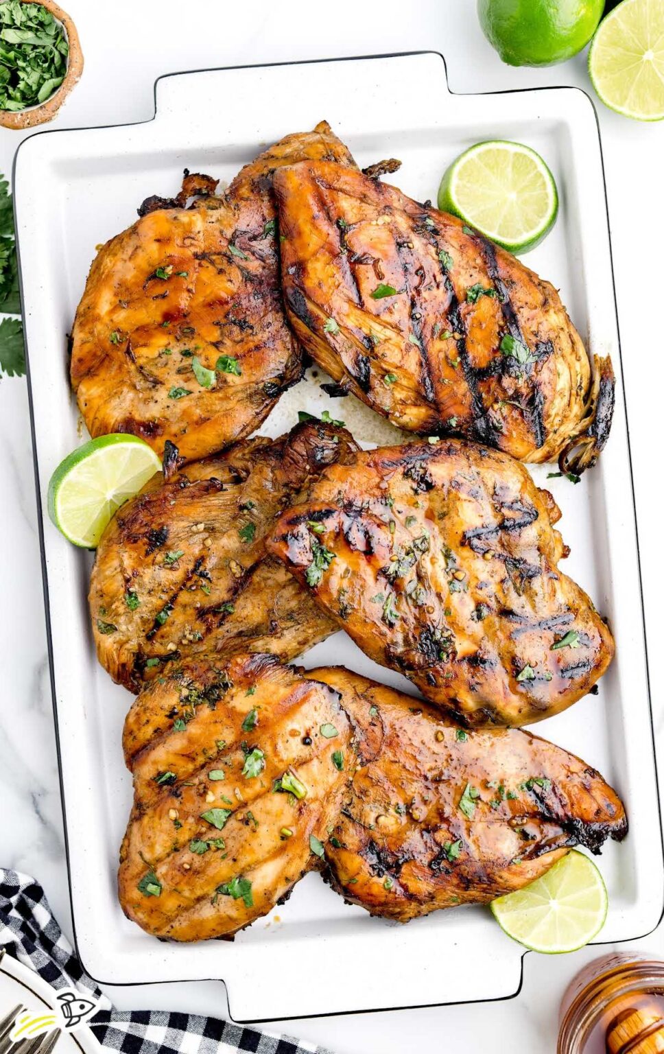 Beer Marinated Chicken - Spaceships and Laser Beams