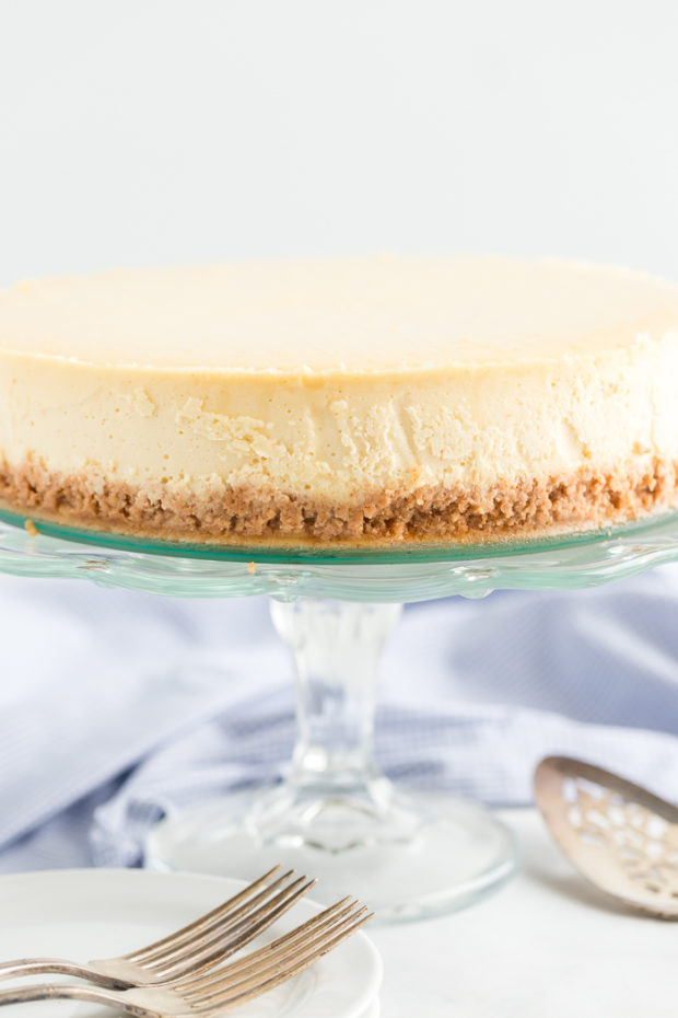 Classic Cheesecake Recipe – Best Pixel Design