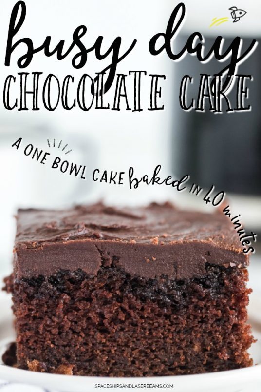 One Bowl Chocolate Cake - Spaceships and Laser Beams