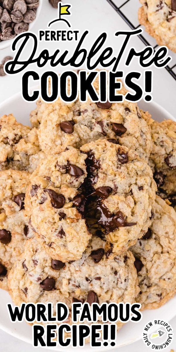 DoubleTree Cookies - Spaceships and Laser Beams