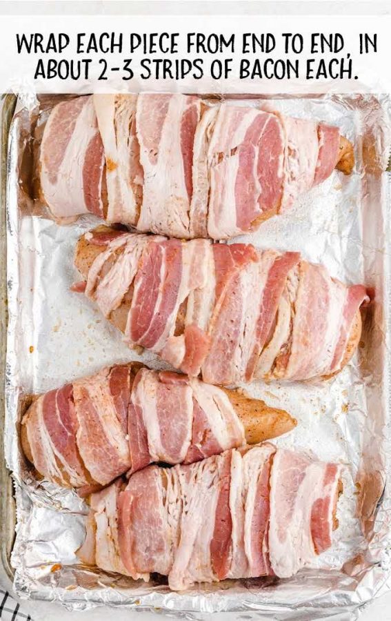Bacon-Wrapped Chicken - Spaceships and Laser Beams