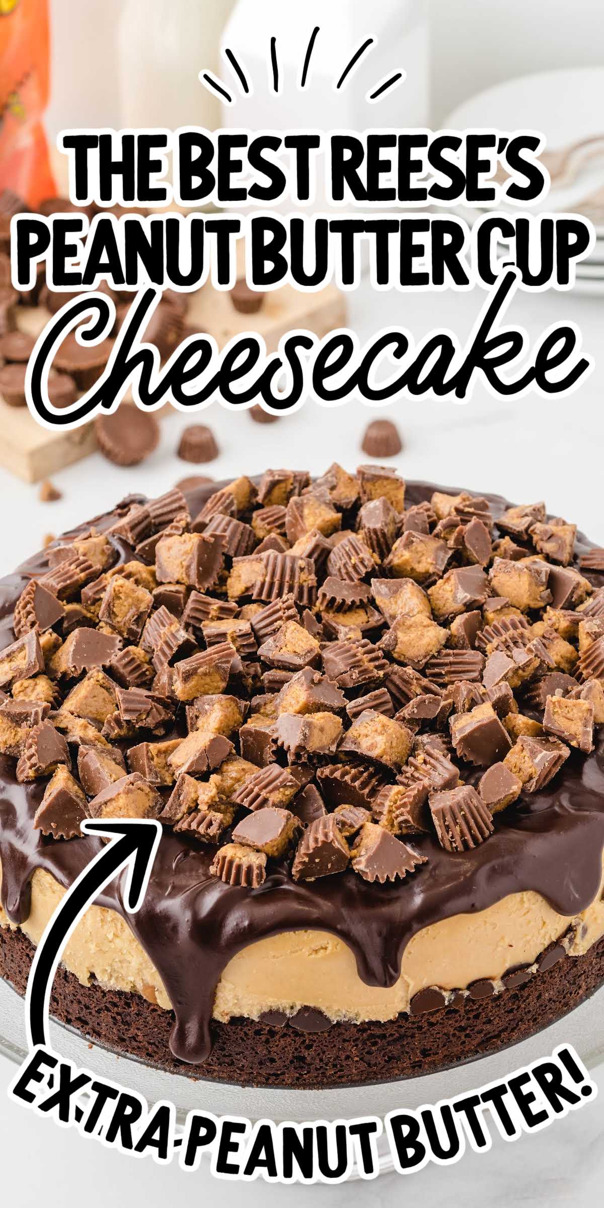 Reese’s Cheesecake - Spaceships and Laser Beams