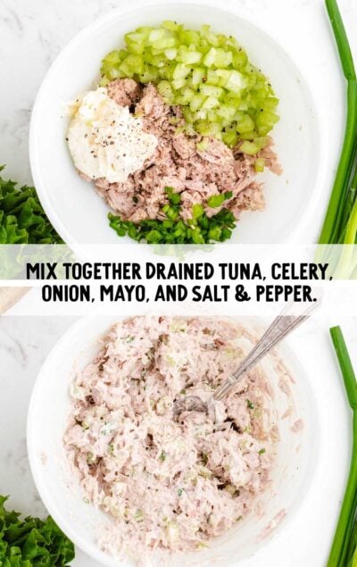 Tuna Sandwich - Spaceships and Laser Beams