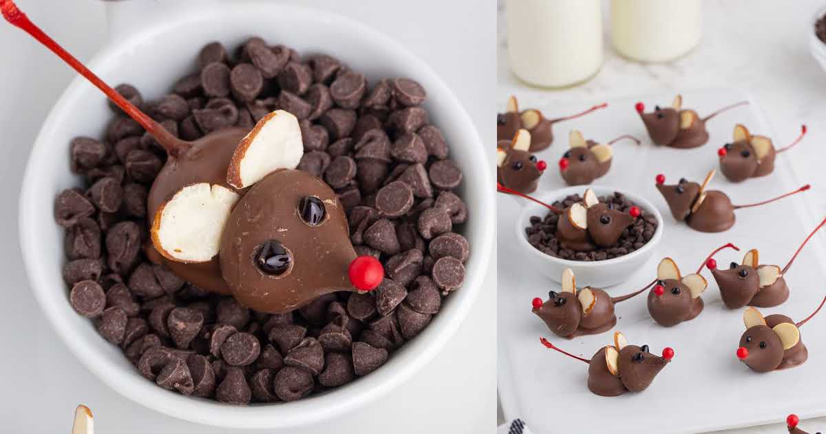 Oreo Cookie Mice Recipe