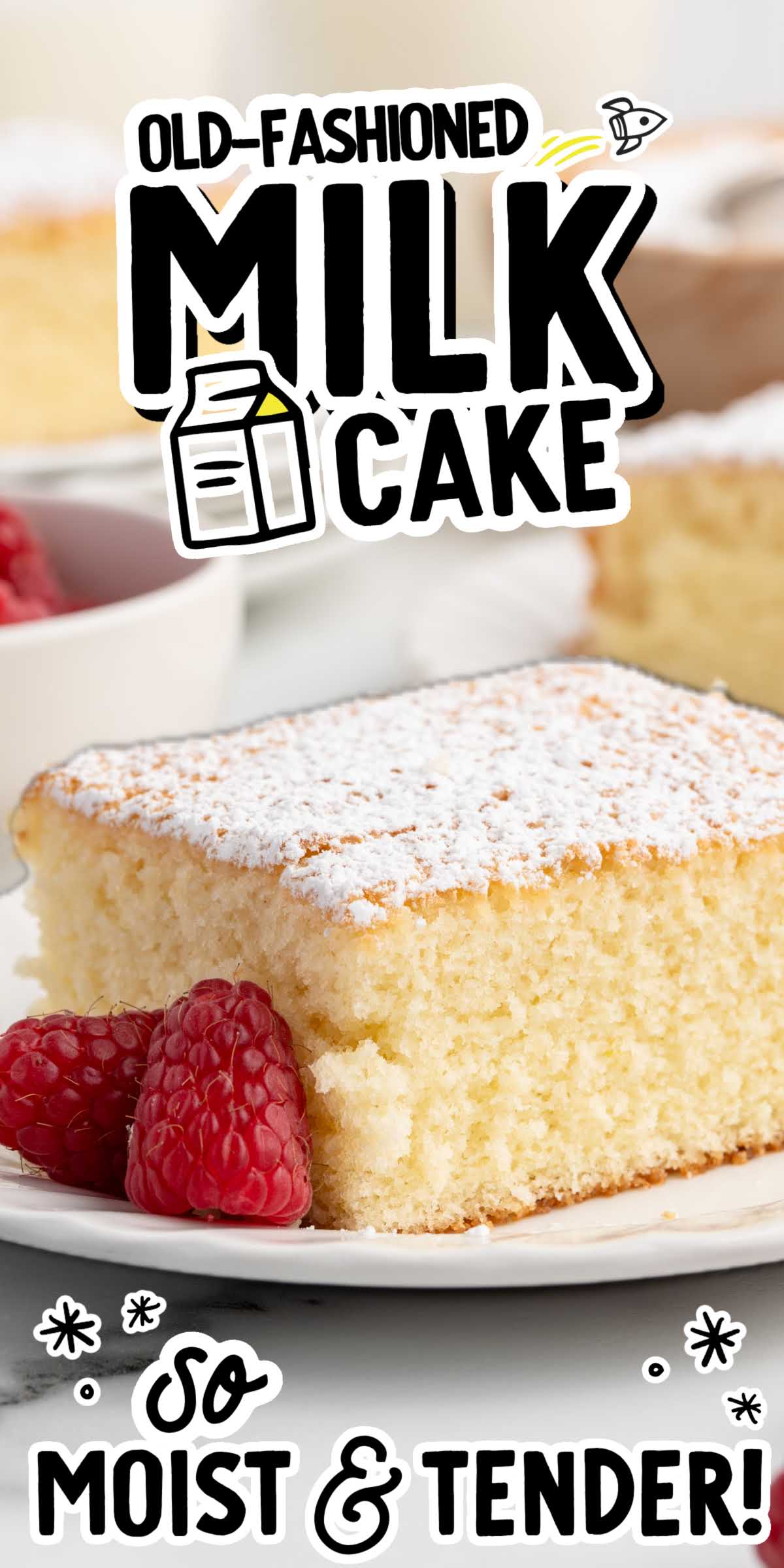 Vintage Hot Milk Cake - Spaceships and Laser Beams