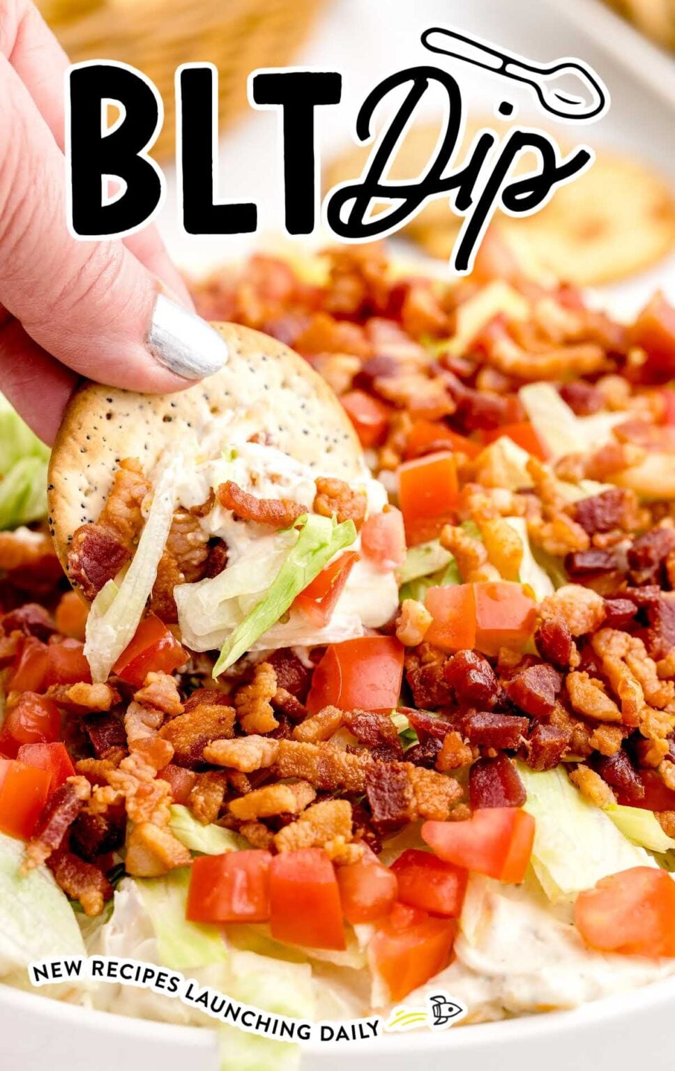 15+ Of The Best Cold Dip Recipes - Spaceships and Laser Beams