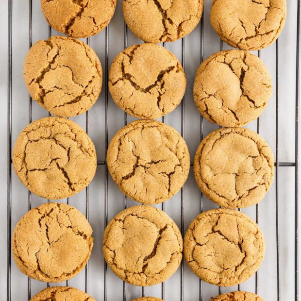 Molasses Cookies - Spaceships and Laser Beams
