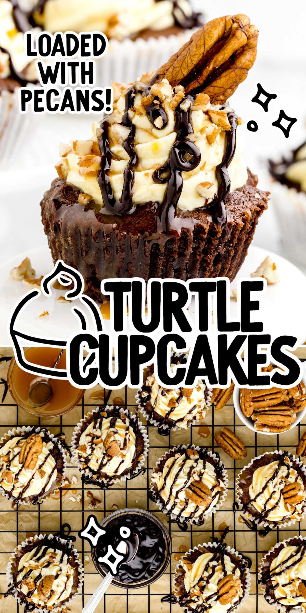 Turtle Cupcakes - Spaceships and Laser Beams