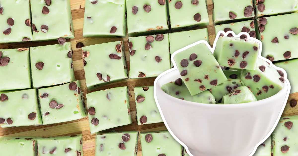 Mint Chocolate Chip Fudge - Spaceships and Laser Beams