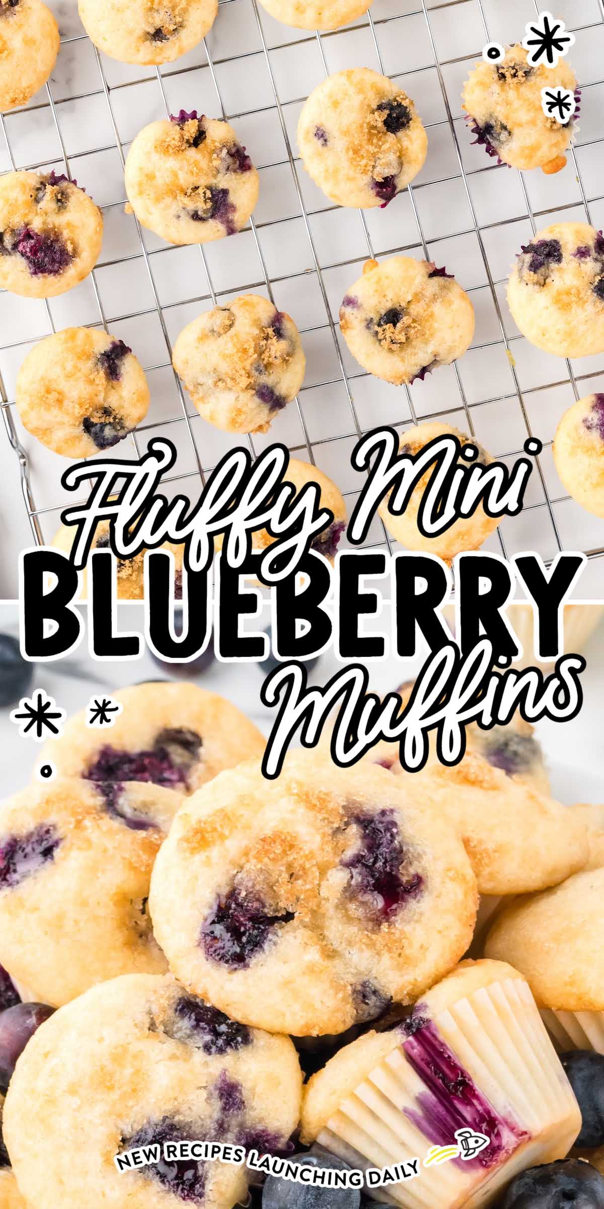 Mini Blueberry Muffins - Spaceships and Laser Beams