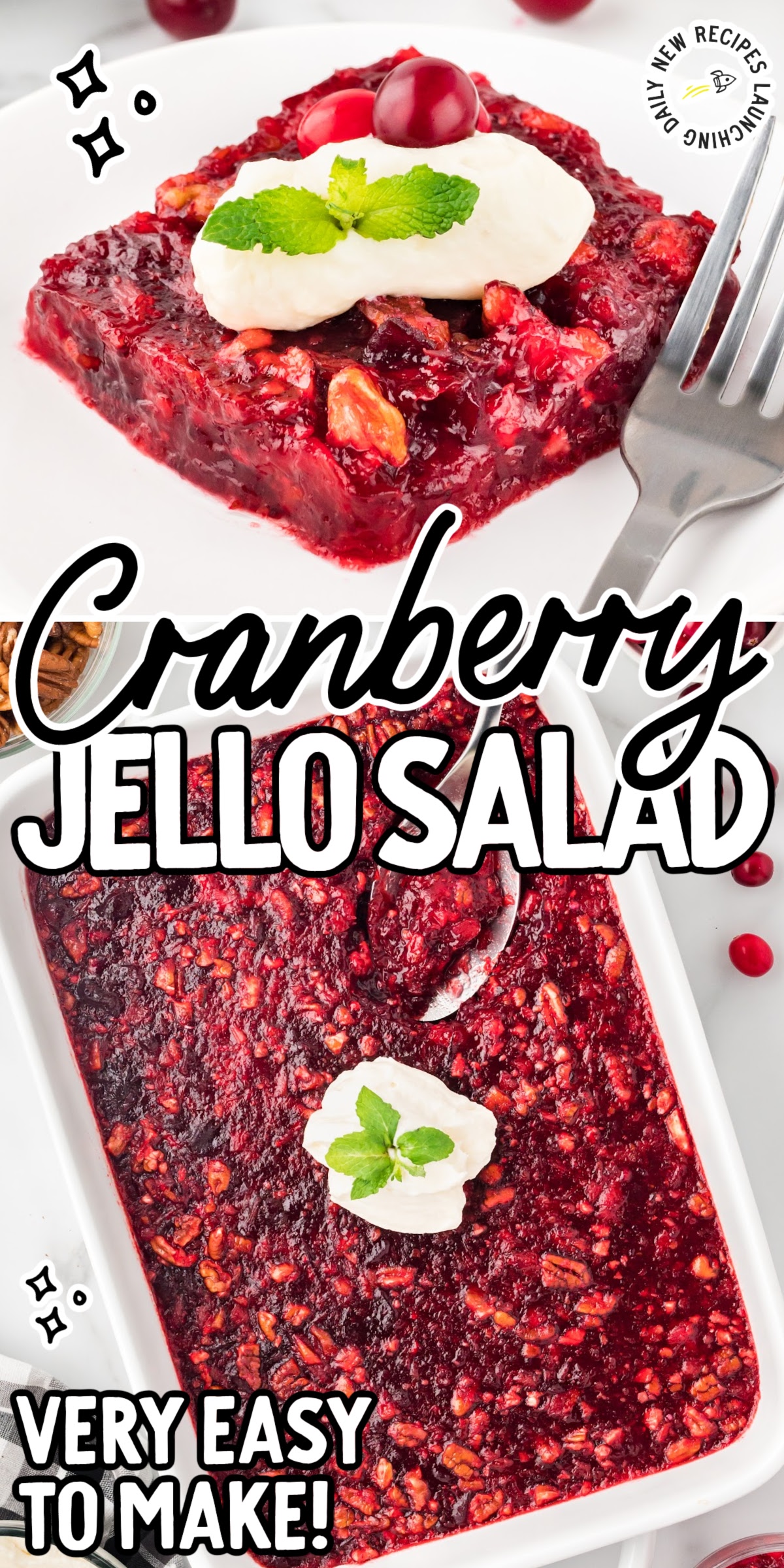 Cranberry Jello Salad - Spaceships and Laser Beams