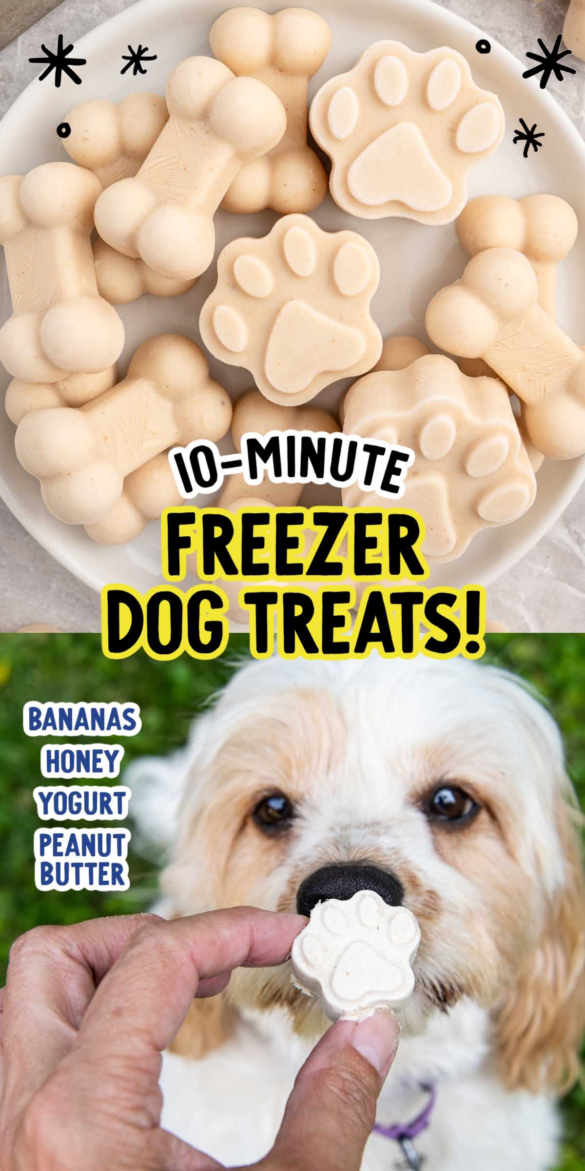 Frozen Dog Treats - Spaceships and Laser Beams