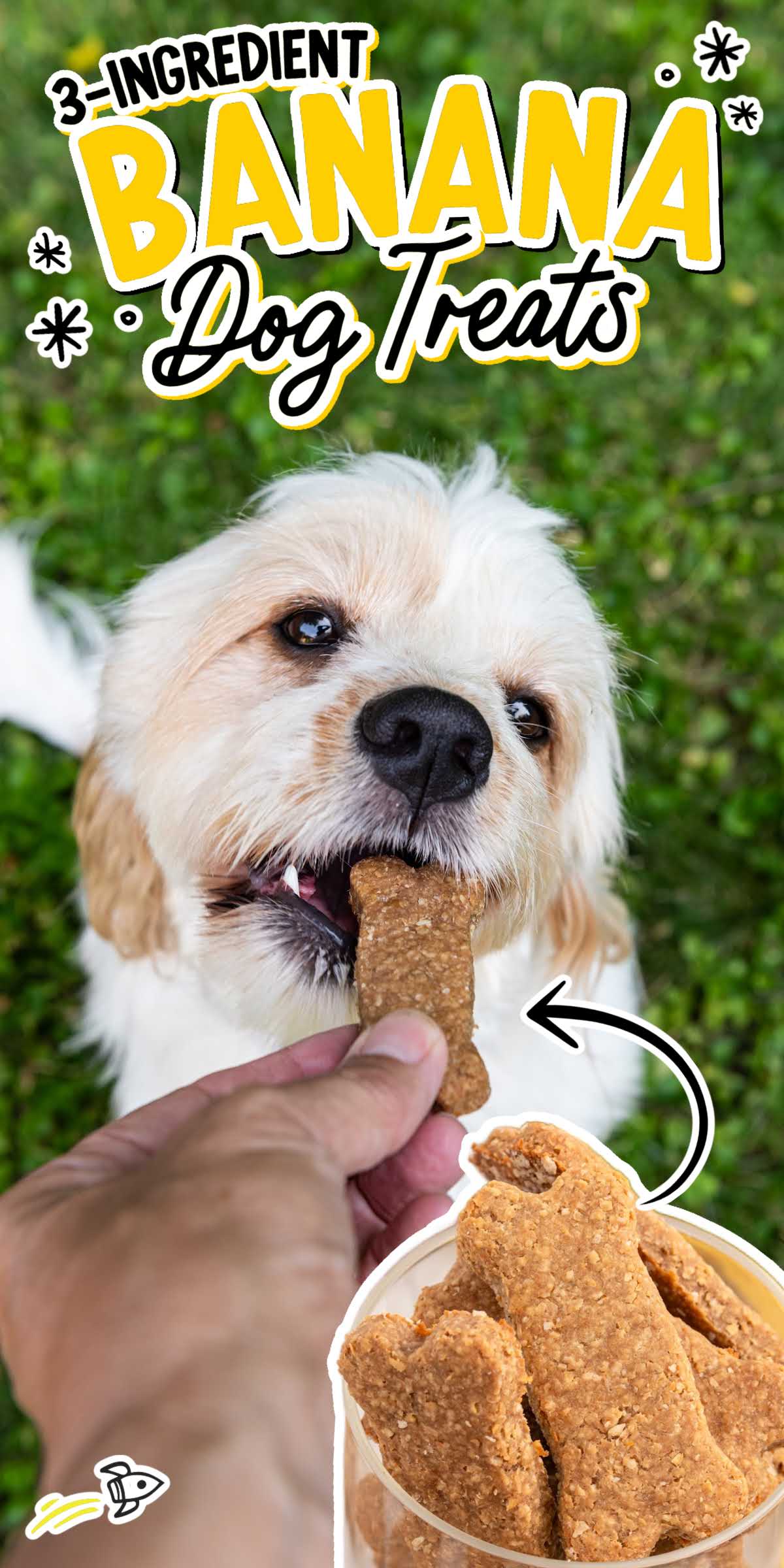 3 Ingredient Banana Dog Treats - Spaceships and Laser Beams
