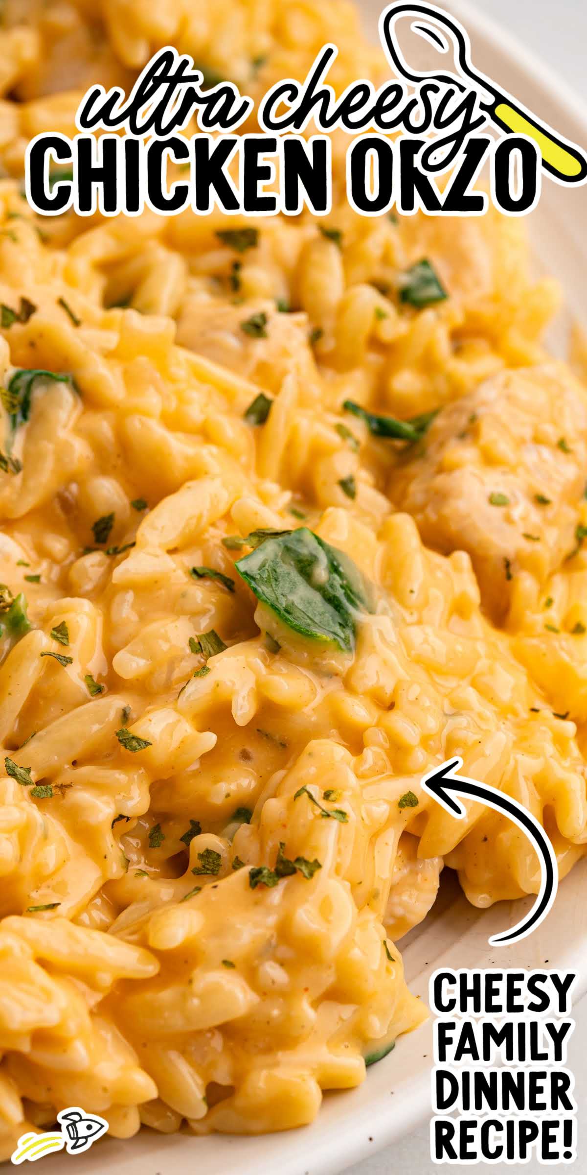 30 Minute Cheesy Chicken Orzo - Spaceships and Laser Beams