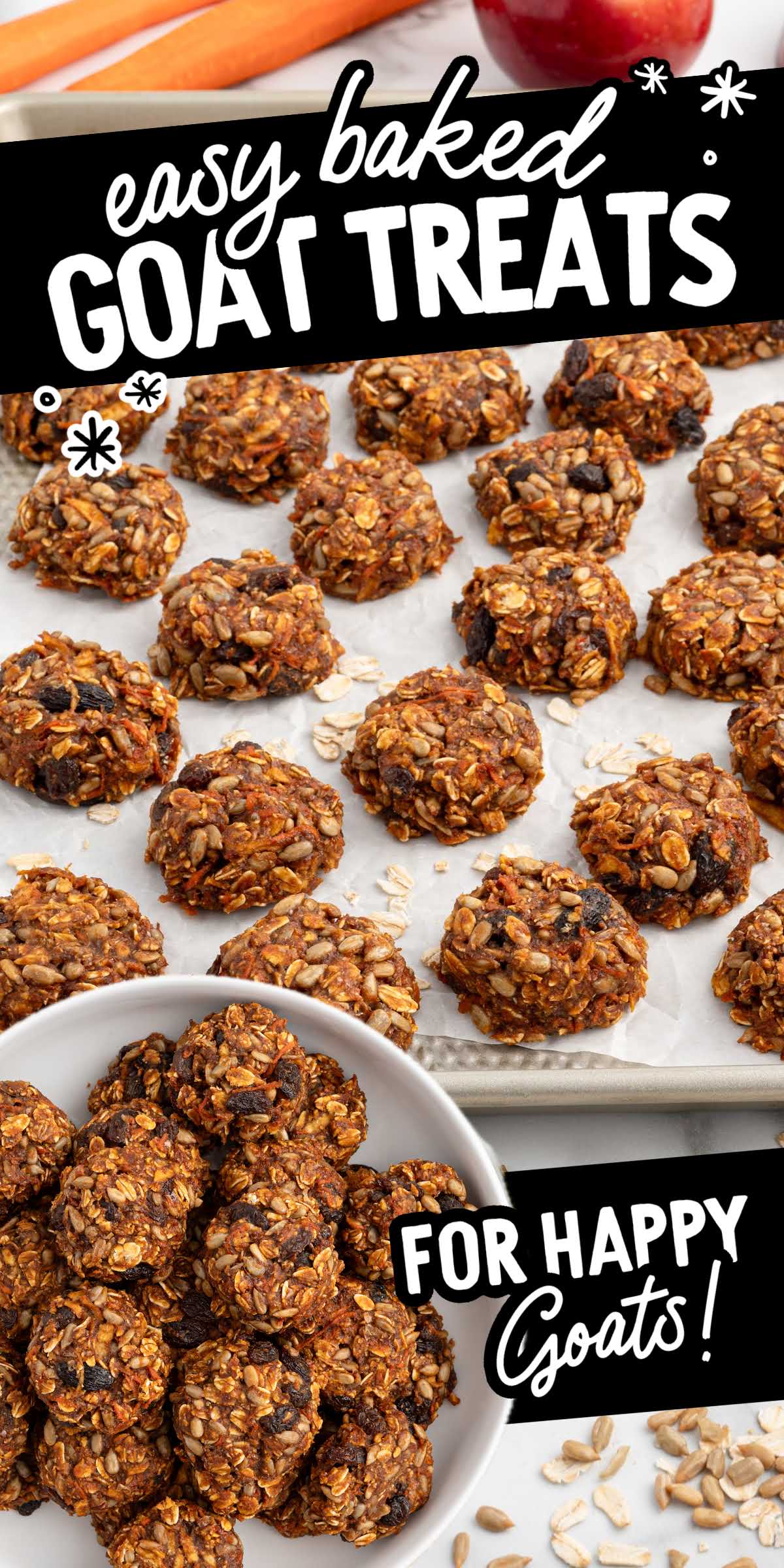 Homemade Goat Treats - Spaceships and Laser Beams